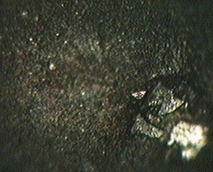 Additional Plasmoid Marks on Electrolysis Cells - Scientific Revolutions